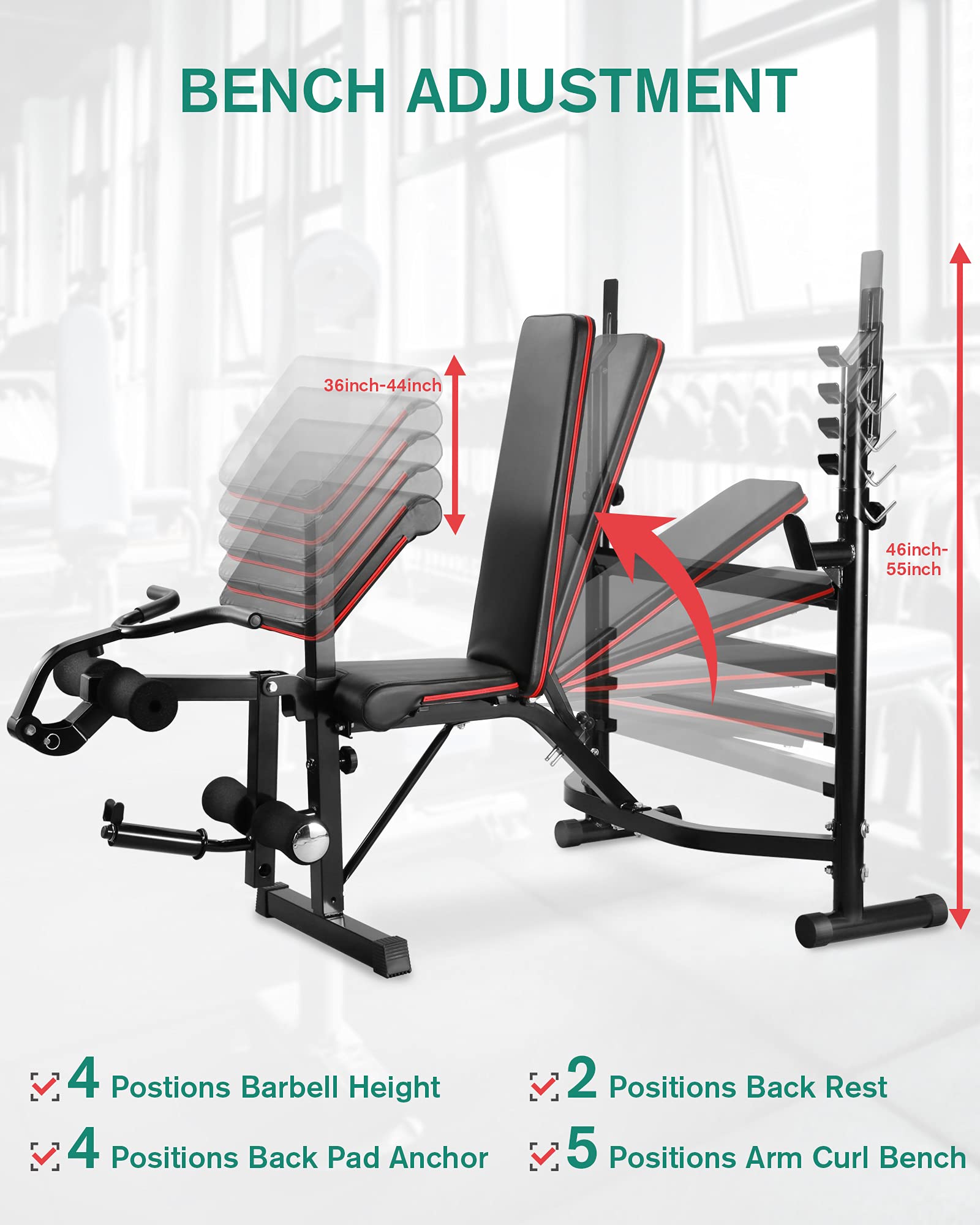 Olympic Weight Bench Adjustable Weight-Lifting Bed Exercise Bench Workout Bench with Squat Rack Leg Extension Preacher Curl Bench for Full Body Workout in Home Gym