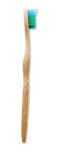 Woobamboo! Eco-Friendly Large Breed Bamboo Toothbrush 2 Pack