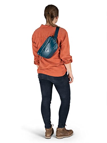 Osprey Transporter Everyday Waist Pack, Black