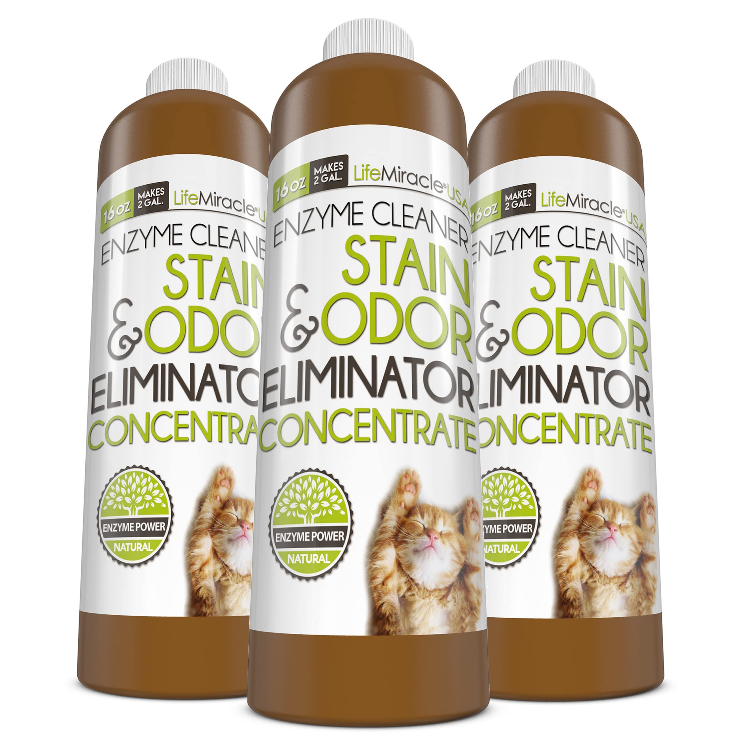 Life Miracle Enzyme Cleaner & Pet Odor Eliminator CONCENTRATE | Deep Cleaning Enzymatic Spot Remover for Dog Cat Urine, Rug, Carpet, Upholstery, Couch, Car Stains & Smells | Makes 2 GALLONS