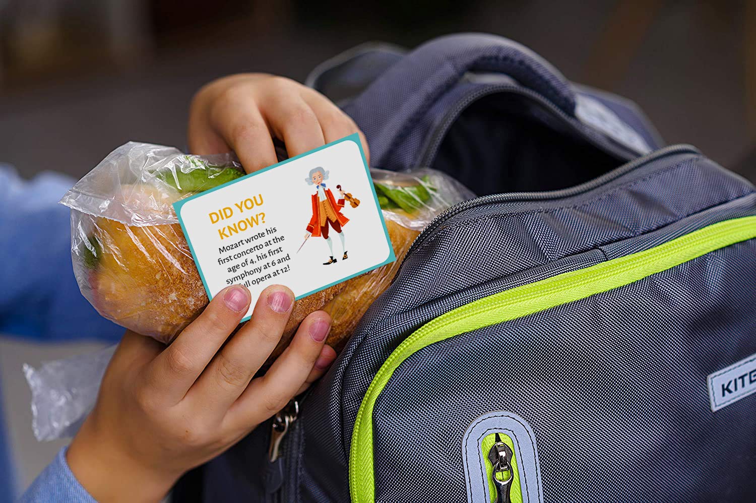 Lunch Box Notes for Kids – Pack of 60 Educational Lunch Box Notes - Lunch Notes Learning Flash Cards Kindergarten or School - School Lunch Accessories for Kids - Fun Facts Series 3