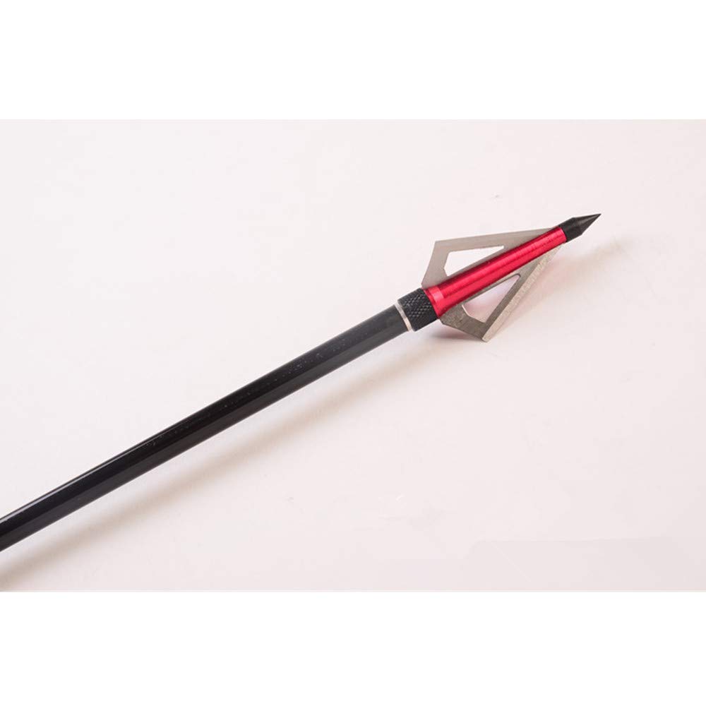 LIEYING 10 pcs Archery Hunting Broadheads 100 Grain 3 Blade Broad Screw Tips Arrow Heads for Shooting Training (10PCS,Red)