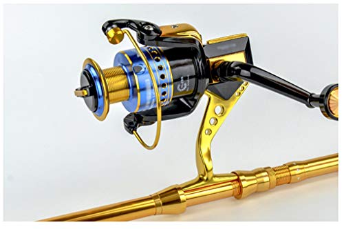 LLJPYX7L Salt Water Reel with 11 Bearings, Ultra-Smooth Fishing Reel, 5.5:1 Gear Ratio, Left/Right Rocker arm Interchangeable (Color : 6000)