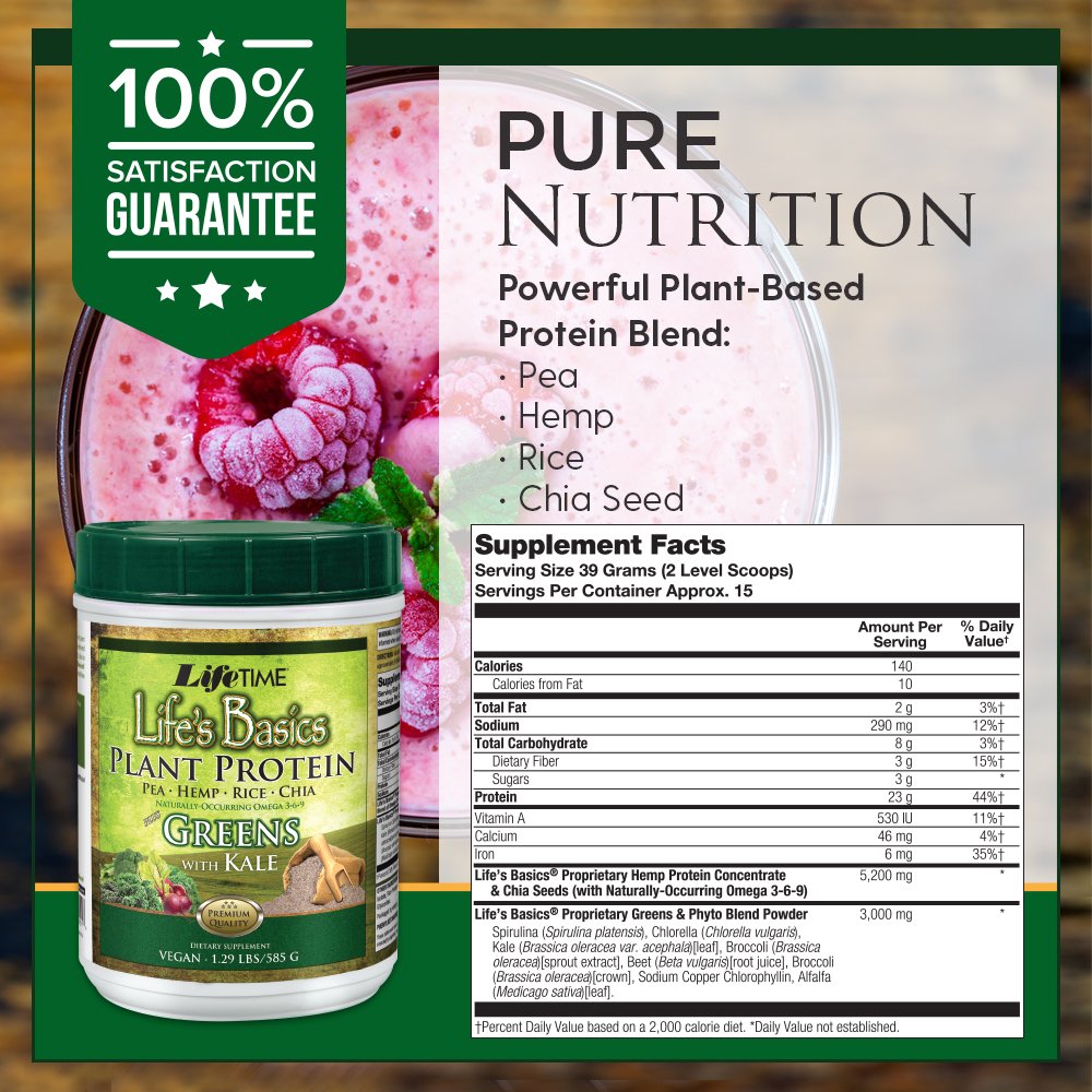 LIFETIME Lifes Basics Plant Based Protein Powder | Natural Chocolate, Vegan | No Gluten, Artificial Flavors, or Preservatives | 1.22lb