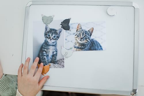 Pearhead Cat Bum Kitchen Magnets, Pet Themed Refrigerator Magnets, Cat Lover Home Décor, Funny Novelty Gift, School Locker Accessories, Set of 4
