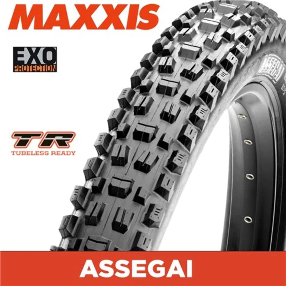 Maxxis Unisex's MXT00163100 Brakes & Shifters, Black, 29 x 2.50 inches