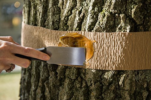 Tanglefoot Insect Barrier (Tub), 15 oz.