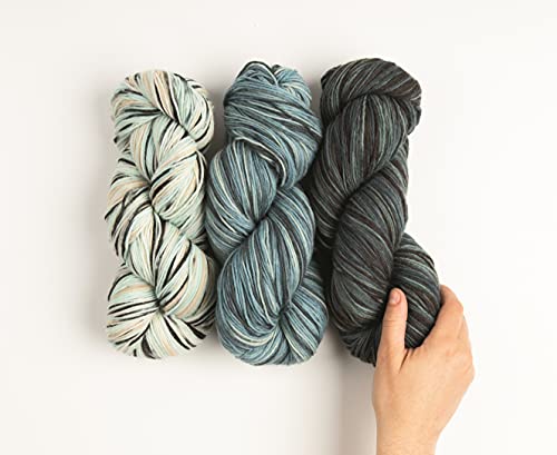 Knit Picks Stroll Hand Painted Merino Wool Fingering Weight Sock Yarn - 100 g (Red Wing Blackbird)