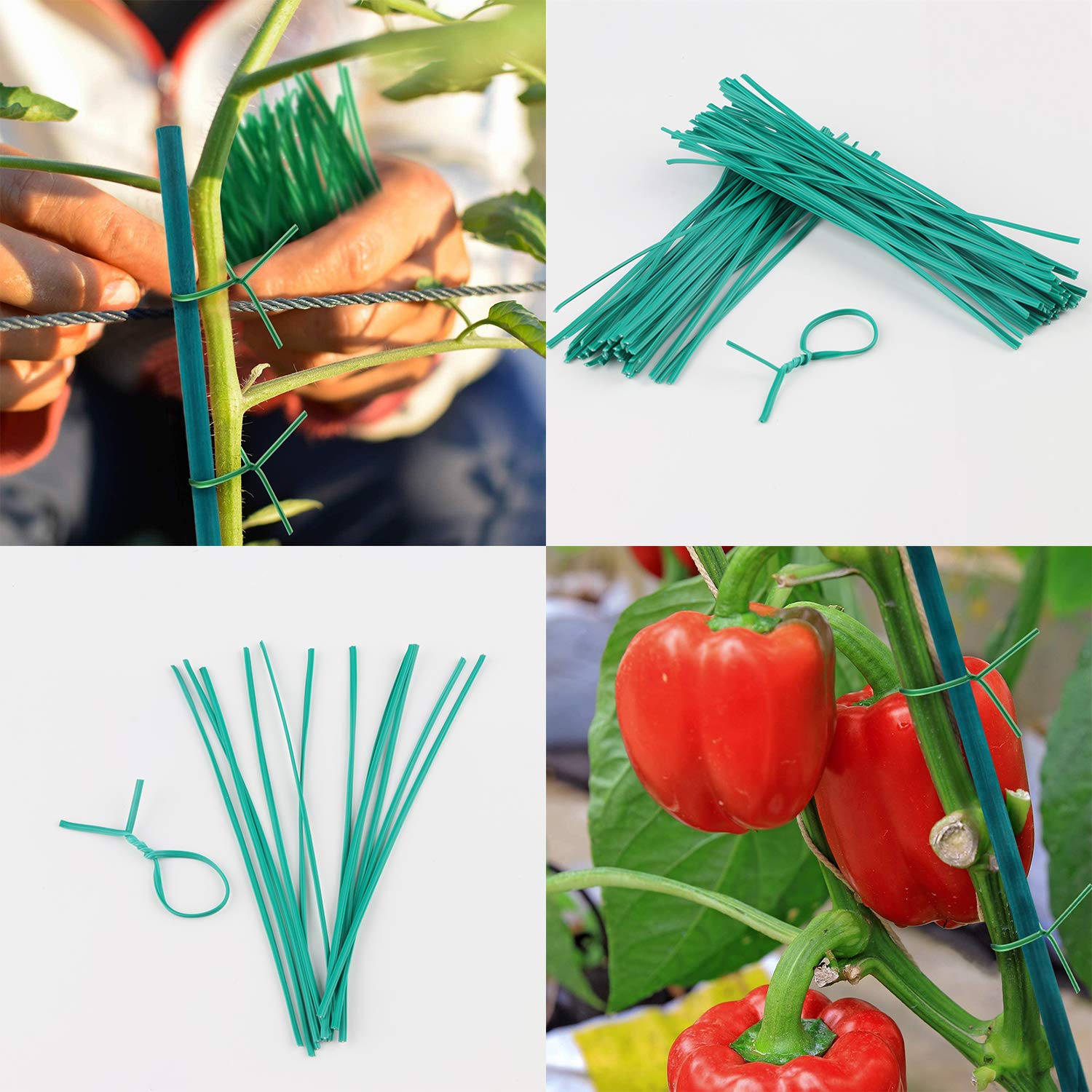 SupKing Plant Stakes,17&12 Inch Wood Plant Sticks 30 Pack Orchid Stake Sturdy Green Bamboo Plant Support Stake Gardening Floral Potted Plant Support