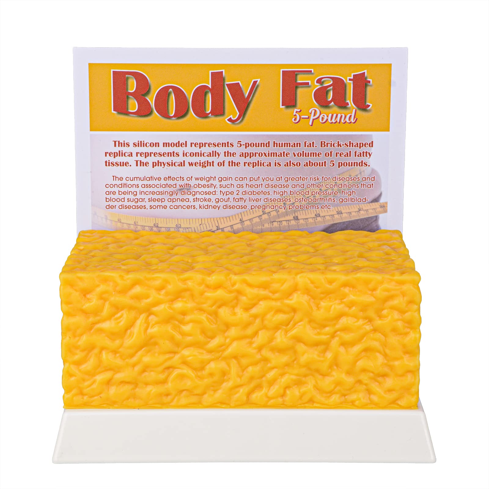 SimCoach Human Body Fat Replica 5 Lbs, Keep Fit & Weight Loss Motivation & Reminder, Silicone Human Fatty Tissue Demonstration Model for Nutritionist, Athlete