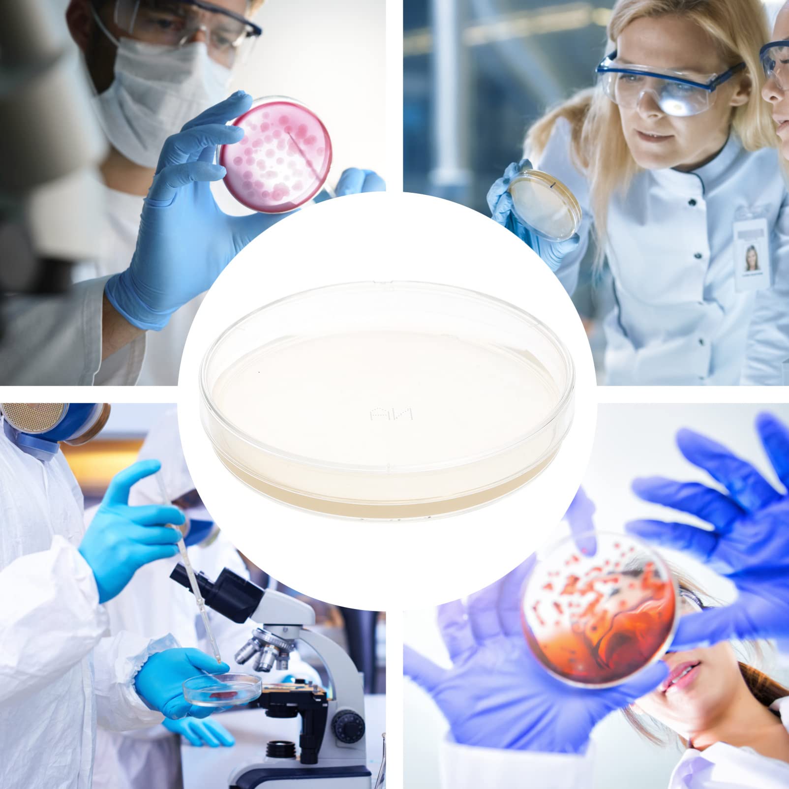 UKCOCO Agar Plates- Petri Dishes for Mushrooms, Molds, Pre- Poured Agar Plates for School Science Projects Seeding Biological Laboratory Equipment Educational Science Fair Project Kit 10pcs 90 x 90 mm