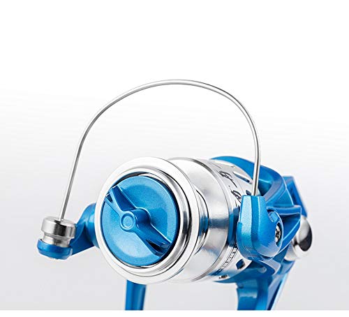 LLJPYX7L Fishing Reel with 2 Bearings, Large-Capacity Fishing Reel for Beginners, 5.0:1 Gear Ratio, Left/Right Rocker arm Interchangeable, Suitable for Beginners (Size : 6000)