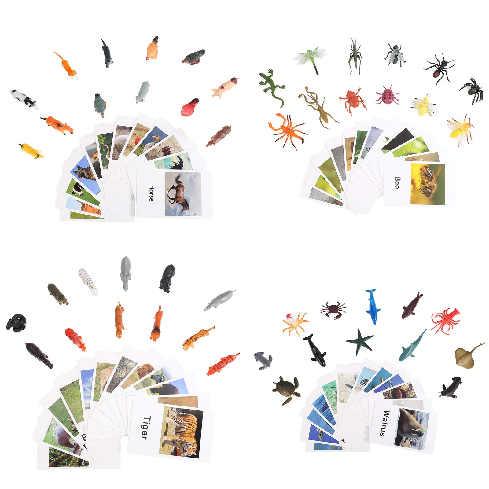 LOGANUSJ 48 PCS Montessori Marine Insects Poultry and Zoo Animals Figure Match 4 Sets - Matching Cards Montessori Language Materials Preschool Learning Toy, Language Materials, Shape Sorting Toy