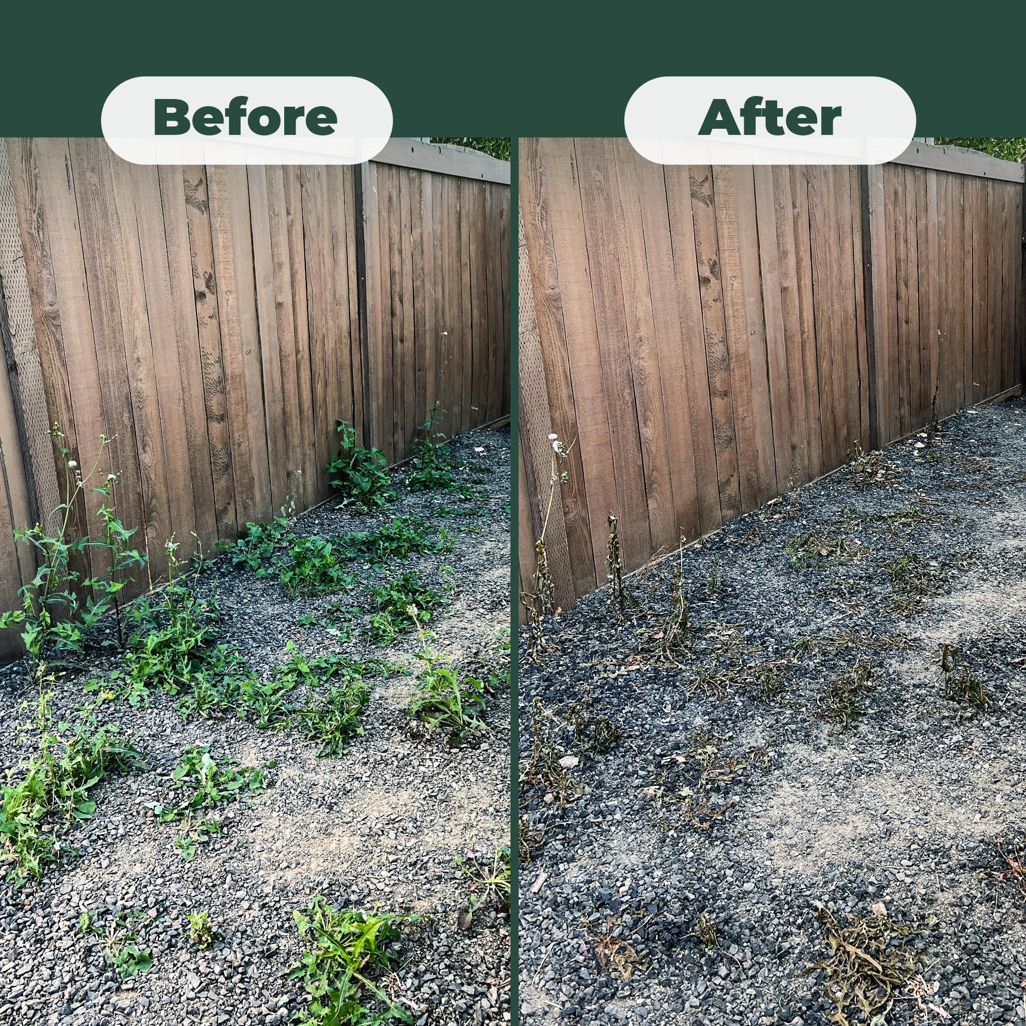 Weed & Grass Killer β Natural Vinegar & Salt Weed Killer β 1 Gallon - Glyphosate Free