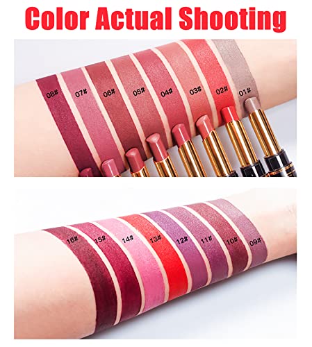 XIRUJNFD 16 Color Long Lasting Lipstick Lip Liner Combo, Dual Heads Lip Liner and Lipstick Set, Long Lasting Lipstick 24 Hour Waterproof, Matte Lip Liner (#13)