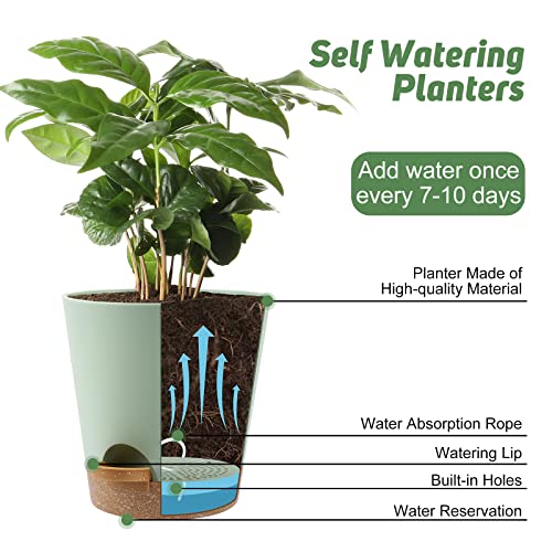 YNNICO Indoor Self Watering Planters with Drainage Holes and Saucers, 8, 7, 6.5, 6, 5.5, 5 Inches, Green, 6 Pots