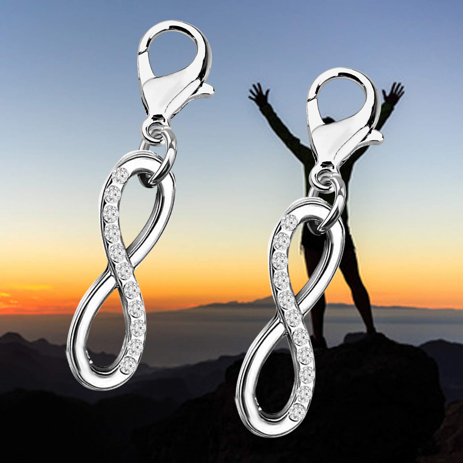 LQRI Infinity Charms Infinity Clip on Charm Infinity Symbol Connectors Charms Pendant Zipper Pull,Charms for Purse,Set of 2 (sliver)