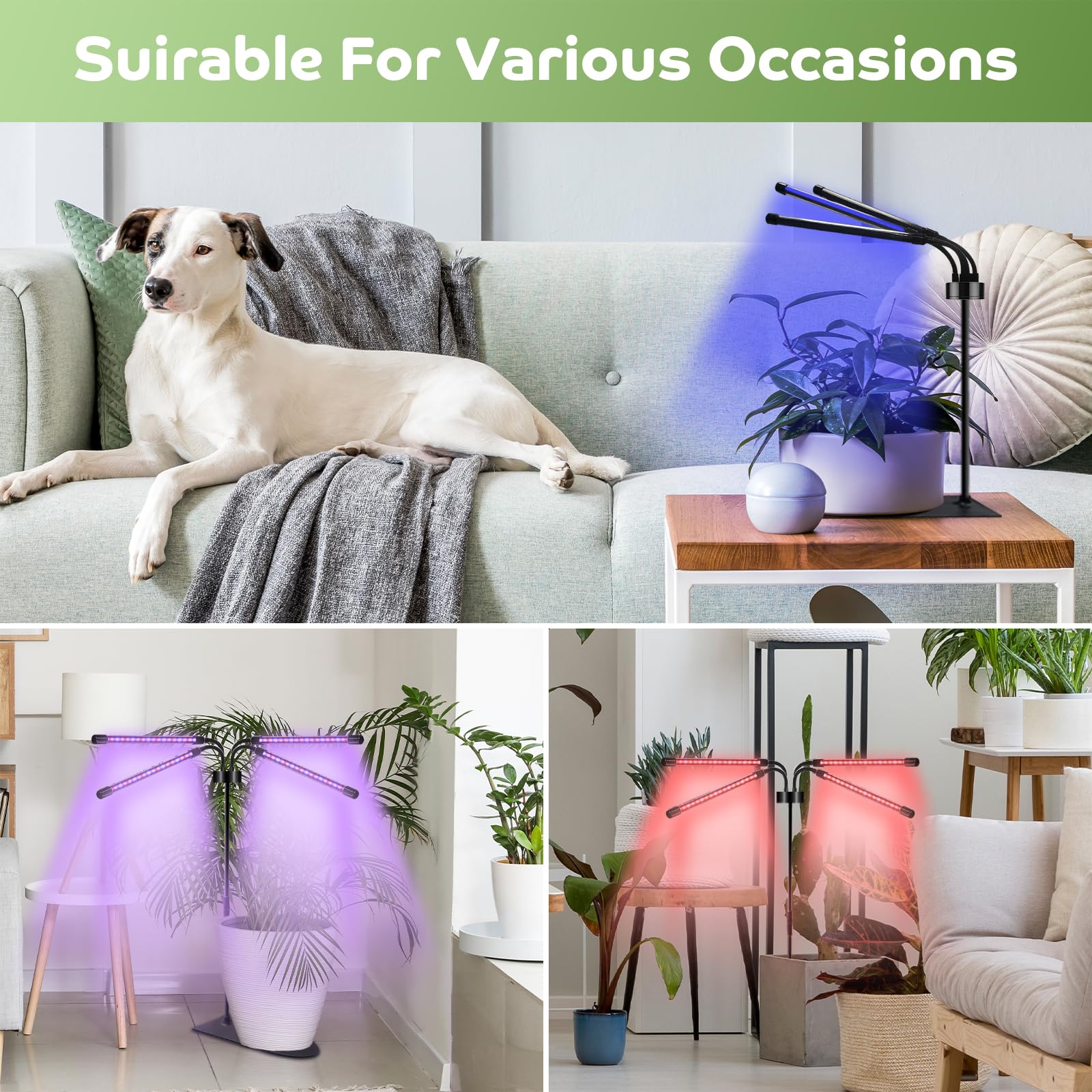 Shyineyou Grows Lights for Indoor Plants Full Spectrum, Plant Light for Indoor Plant with 3/9/12H Timer, 3 Switch Modes, Dimmable Plant Grow Light