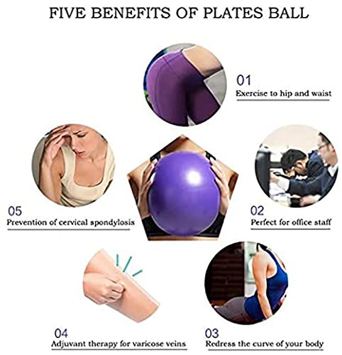 MOMPLUS 6 Inch Exercise Pilates Mini Yoga Balls Barre for Home Stability Squishy Training Physical Therapy Improves Balance Core Strength Comes with Pump(Purple, 6 Inch)