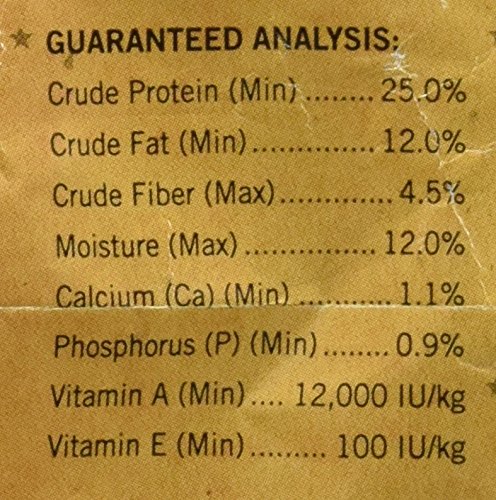 Little Bites Purina Dog Chow for Small Breed Dog Food Dry Recipe, with Real Chicken and Beef - 4 lb. Bag Packaging May Vary