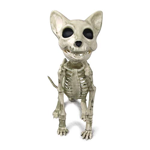 MAKEATREE Halloween Decoration Mini Skeleton Cat Kitten, Plastic Crouching Sitting Cat Bones for Pose Skeleton Prop Indoor Spooky Scene Haunted House Party Favors Décor