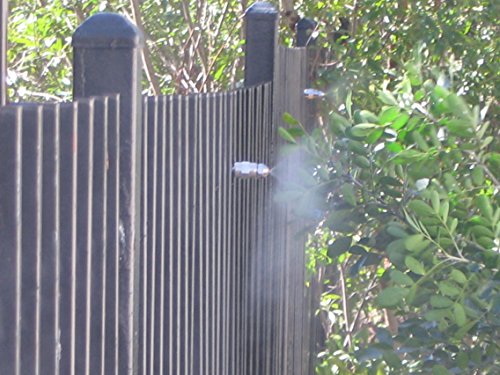 Steinen/Hago 4023 Mosquito Misting Nozzle Tip (10 Pack)