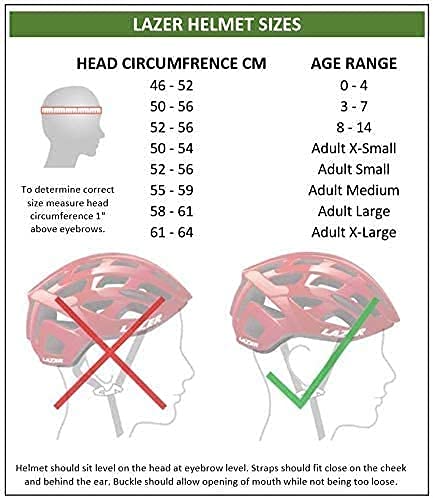 LAZER G1 Bike Helmet – Lightweight Bicycling Helmets for Adults – Men & Women’s Cycling Head Protection with Ventilation, Titanium, Medium