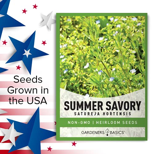 Summer Savory Seeds for Planting is A Heirloom, Non-GMO Herb Variety- Satureja Hortensis Herb Seeds Great for Indoor, Outdoor, Hydroponic Gardening by Gardeners Basics