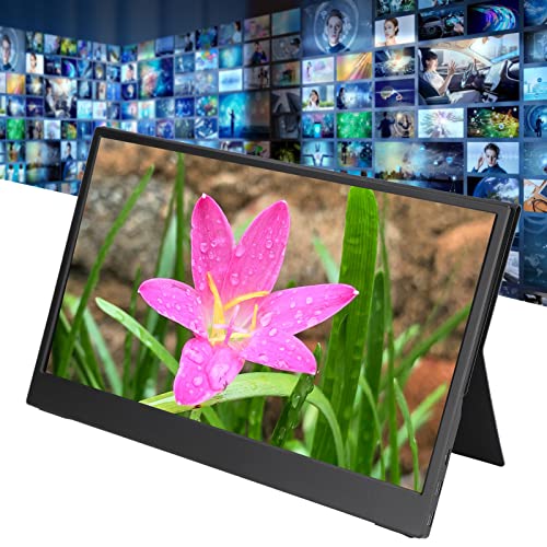 VINGVO 13.3 Inch Laptop Monitor, HD Multimedia Interface HDR 1440P IPS Portable Gaming Monitor Double Speaker for Office for Computer (US Plug)