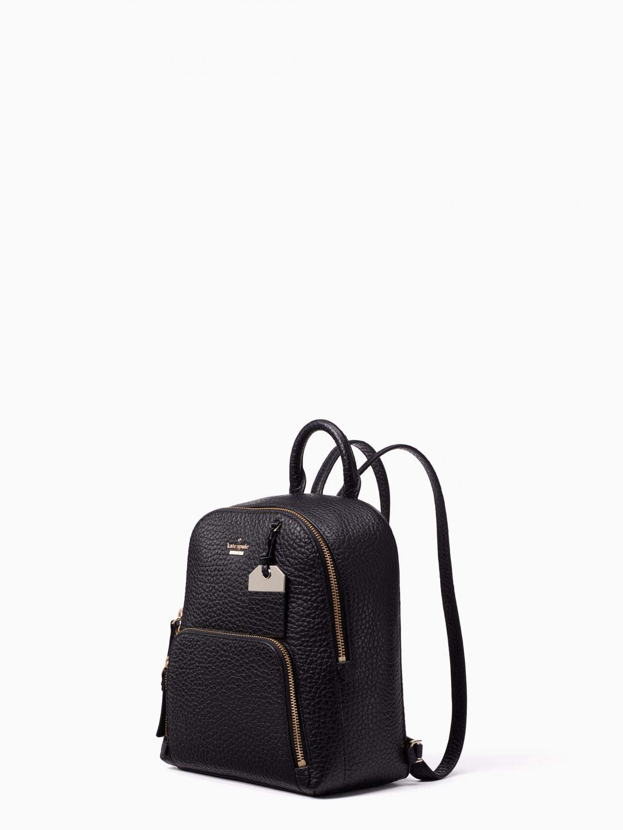 Kate Spade New York Caden Carter Leather Backpack (BLACK)