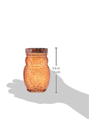Style Setter Owl Colors Jars with Lids (Set of 6), Multicolor