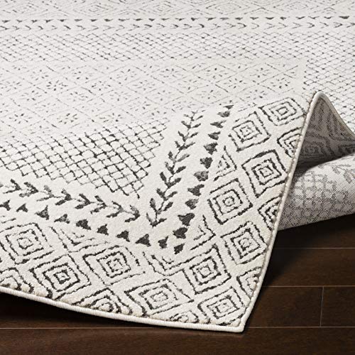 Livabliss Melodie Boho Farmhouse Area Rug,3'11" x 5'7",Beige