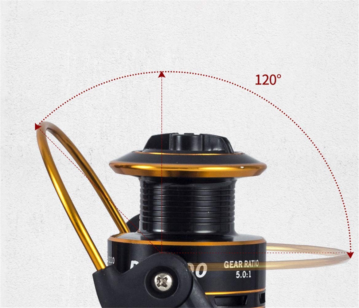 LLJPYX7L Fishing Reel for Beginners, 10BB Rust-Proof Bearing 4.7:1/5.0:1 Gear Ratio, Left/Right Interchangeable Handle, Salt Water and Fresh Water can be Used (Size : 4000)
