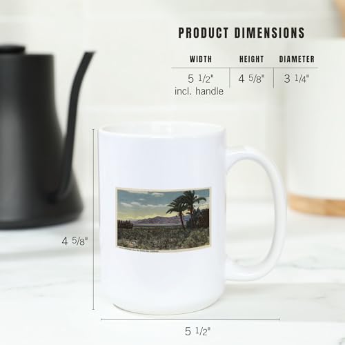 Lantern Press View of Dates Growing near the Salton Sea (15oz White Ceramic Coffee and Tea Mug, Dishwasher and Microwave Safe)