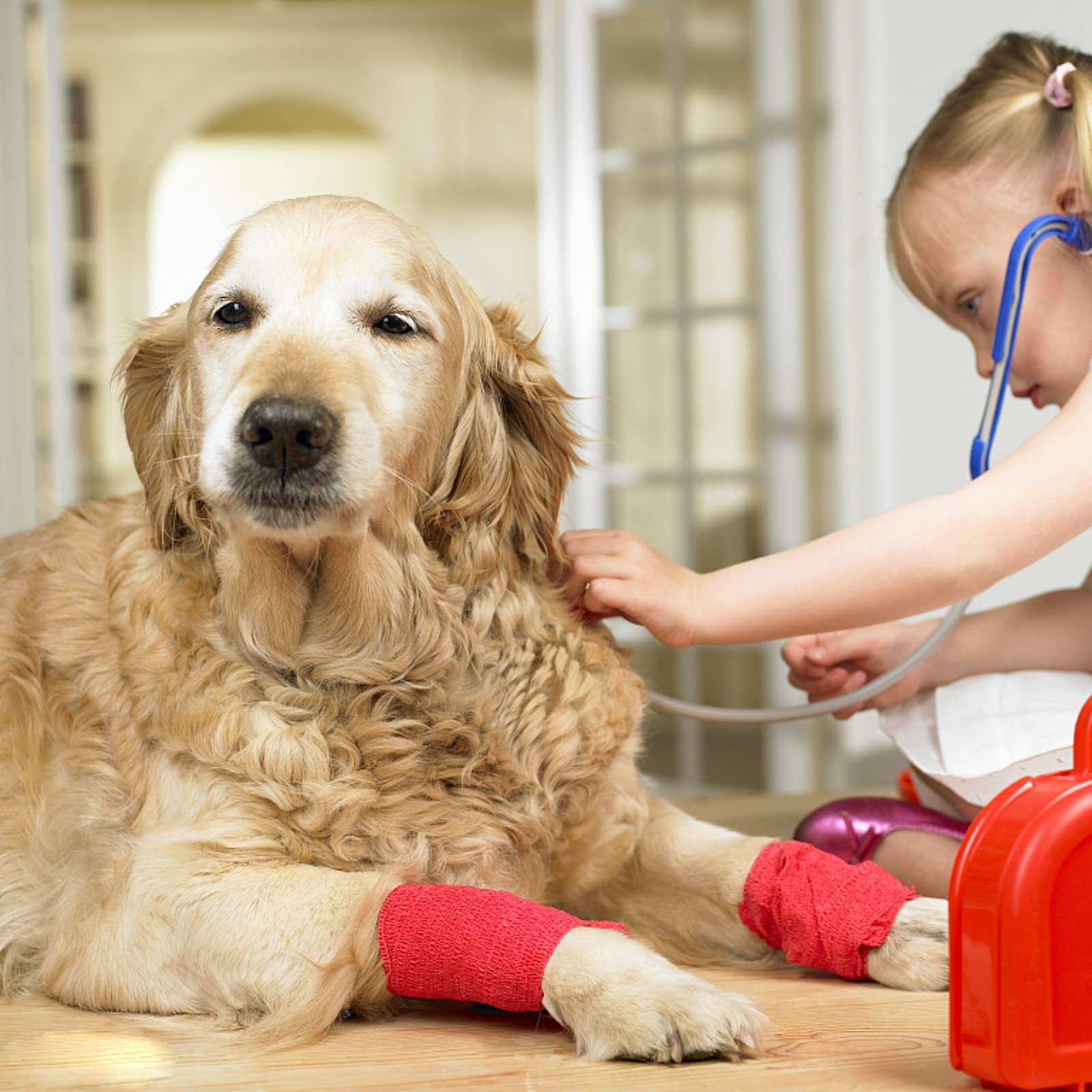 MorTime 24 PACK Self-Adhesive Bandage Wrap, Colorful Non Woven Adherent Cohesive Bandage Rolls Breathable Self Adherent Wrap for Sports Injury Pets Ankle Wrist