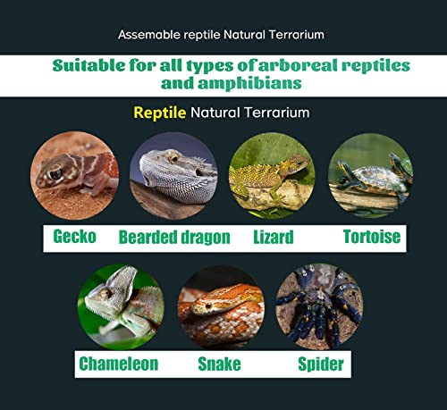 Woyrise Reptile Artificial Plants Terrarium Decor 0002-2, Amphibian Habitat Hideout Decor fit Bearded Dragon Crested Gecko Leopard Lizard Chameleon Ball Python Snake Frog