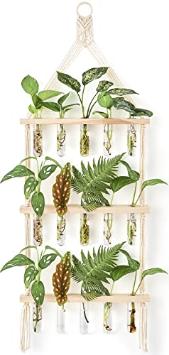 Mkono Macrame Plant Propagation Tubes, 3 Tier Boho Wall Hanging Plant Terrarium Vase Indoor Glass Planter for Propagating Hydroponic Houseplants Home Office Wall Plant Decor Gifts for Women