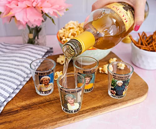 Silver Buffalo The Golden Girls Memes 1.5-Ounce Mini Glasses | Set of 4