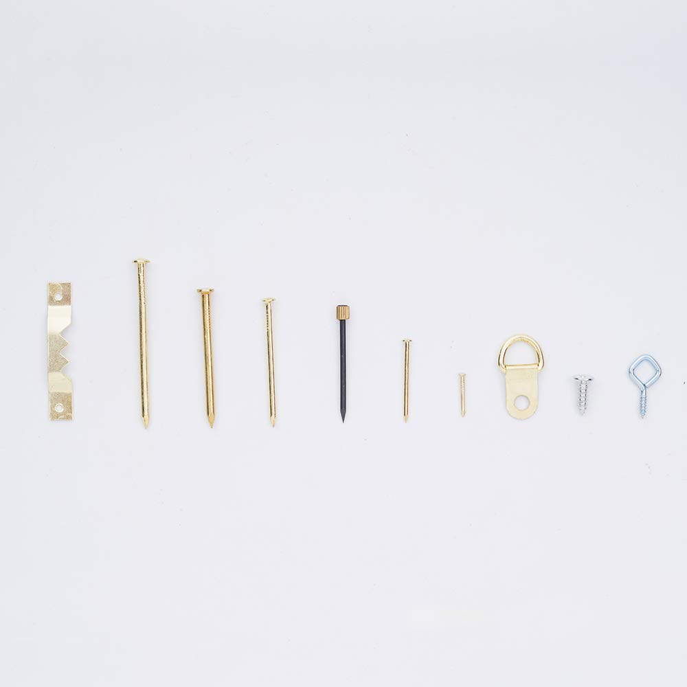 LOCONHA Picture Hanging Kit Includes Hooks, Nails, Sawtooth Hangers, Frames,and Picture Hanging Wire 246pcs