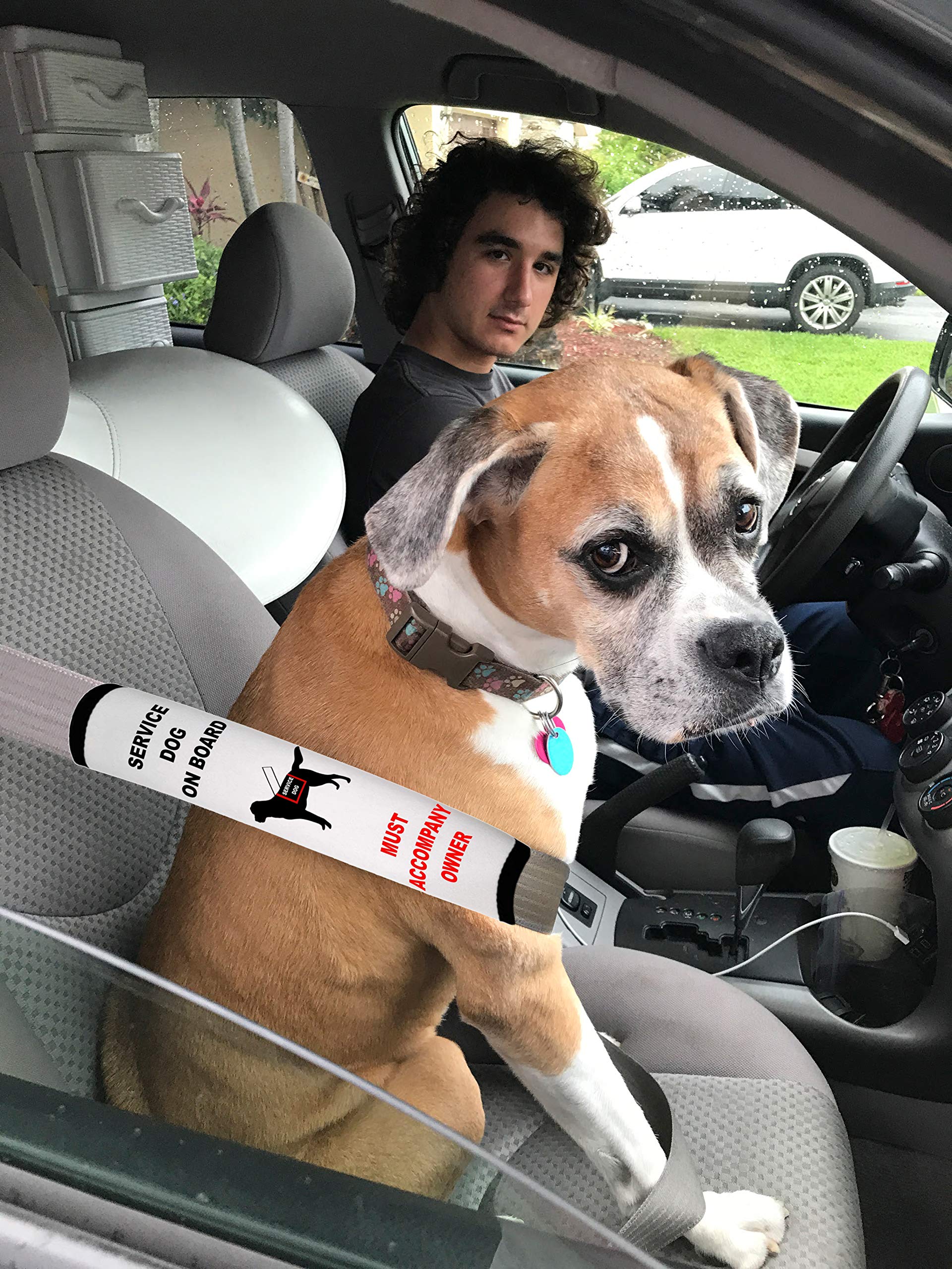 Medical Alert Seat Belt Cover (Service Dog)