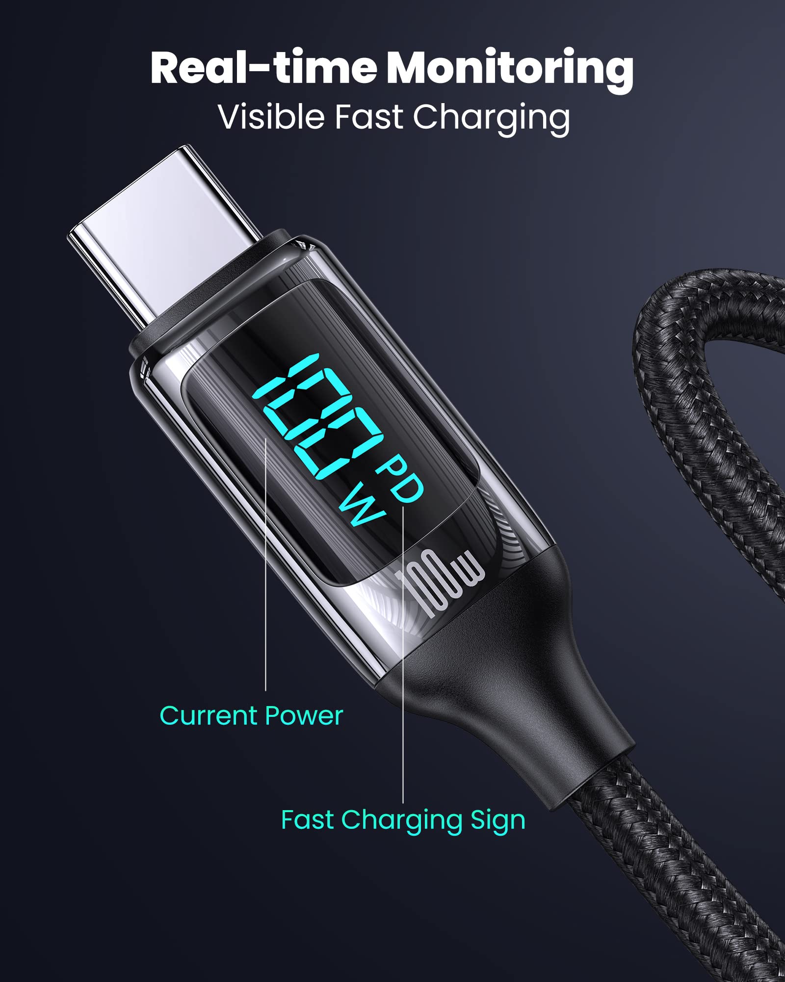 wiredge 100W USB C Cable+10FT LED Display Cable