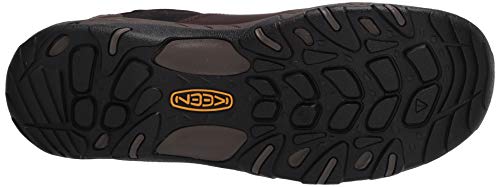 KEEN mens Steens Mid Height Leather Waterproof Hiking Boot, Canteen/Black, 11.5 US