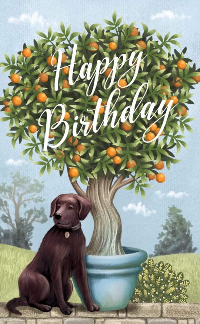 METERO Paper D'Art The Glasshouse Happy Birthday 3D Pop-Up Greetings Card with Large Message Tag