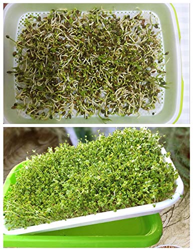 Pack of 150 pcs Germinating Growing Paper Seed Sprouter Vegetable Microgreens Planting Paper 7.8" x 11.4". Fit for Plant Germination Tray (13.4"x 9.8") Trays NOT Included
