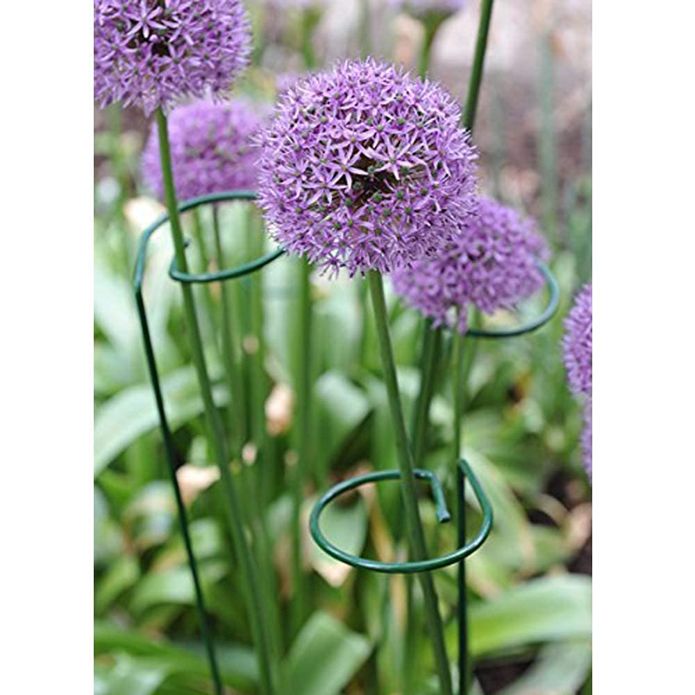 Tingyuan 36 Inches Single Stem Plant Support Stakes Steel Garden Stakes, Pack of 20
