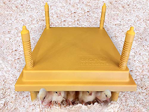 Titan Incubators Chick Heating Plate/Brooder Hen β Heat Lamp Replacement - Up to 25 Chicks β 12β x 12β