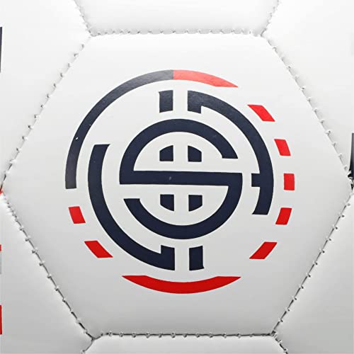 PUMA Soccer Ball, Machine Stitched, 32 Panel Construction, Country Graphic, Puma Logo