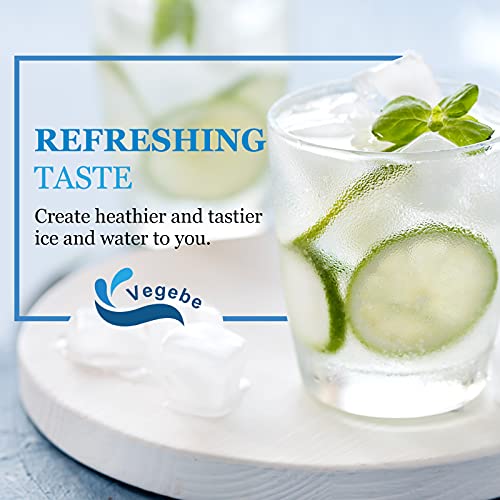 Vegebe Inline Water Filter for Ice Maker, Refrigerator, Under-Sink Reverse Osmosis Water System, Post Activated Carbon Water Filter Replacement Cartridge with 1/4-Inch Quick-Connect (Pack of 2)