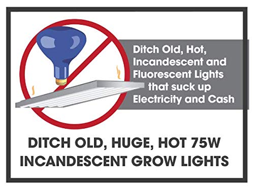 Miracle LED Tight Focus LED Full Spectrum Daylight Single Plant Growing Bulb 6W Replacing 75W Incandescent Grow Light,White