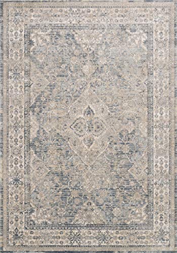 Loloi II Teagan Collection TEA-04 Sky / Natural 7'-11" x 10'-6", .25" Thick, Area Rug, Soft, Durable, Neutral, Woven, Low Pile, Non-Shedding, Easy Clean, Living Room Rug